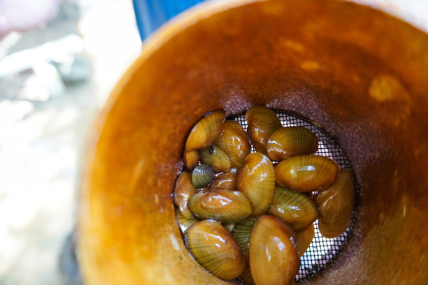 Mussel mass – Southern Science