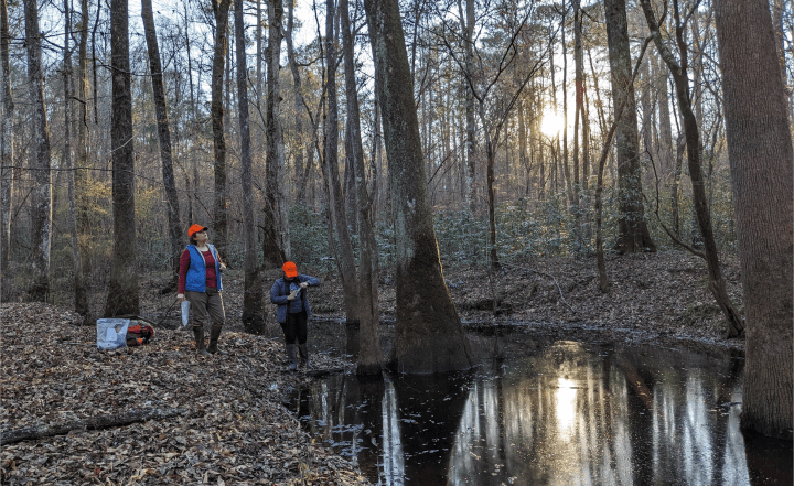 Southern Science – Covering science research, issues and advocacy in ...